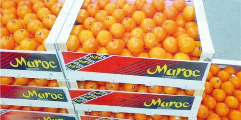 Maroc-Agriculture: Une production record d’agrumes pour 2016-2017 ...