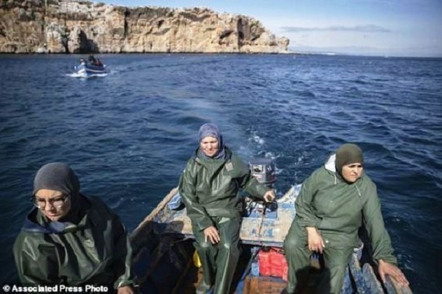 La première coopérative féminine de pêche artisanale au Maroc est née à ...