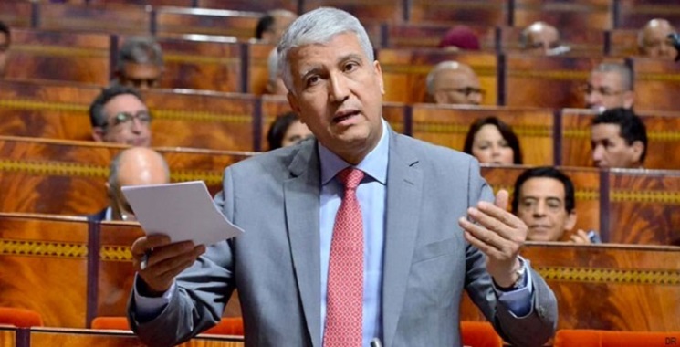 Le Maroc produit 12,3 millions de tonnes de légumes et de fruits par an ...